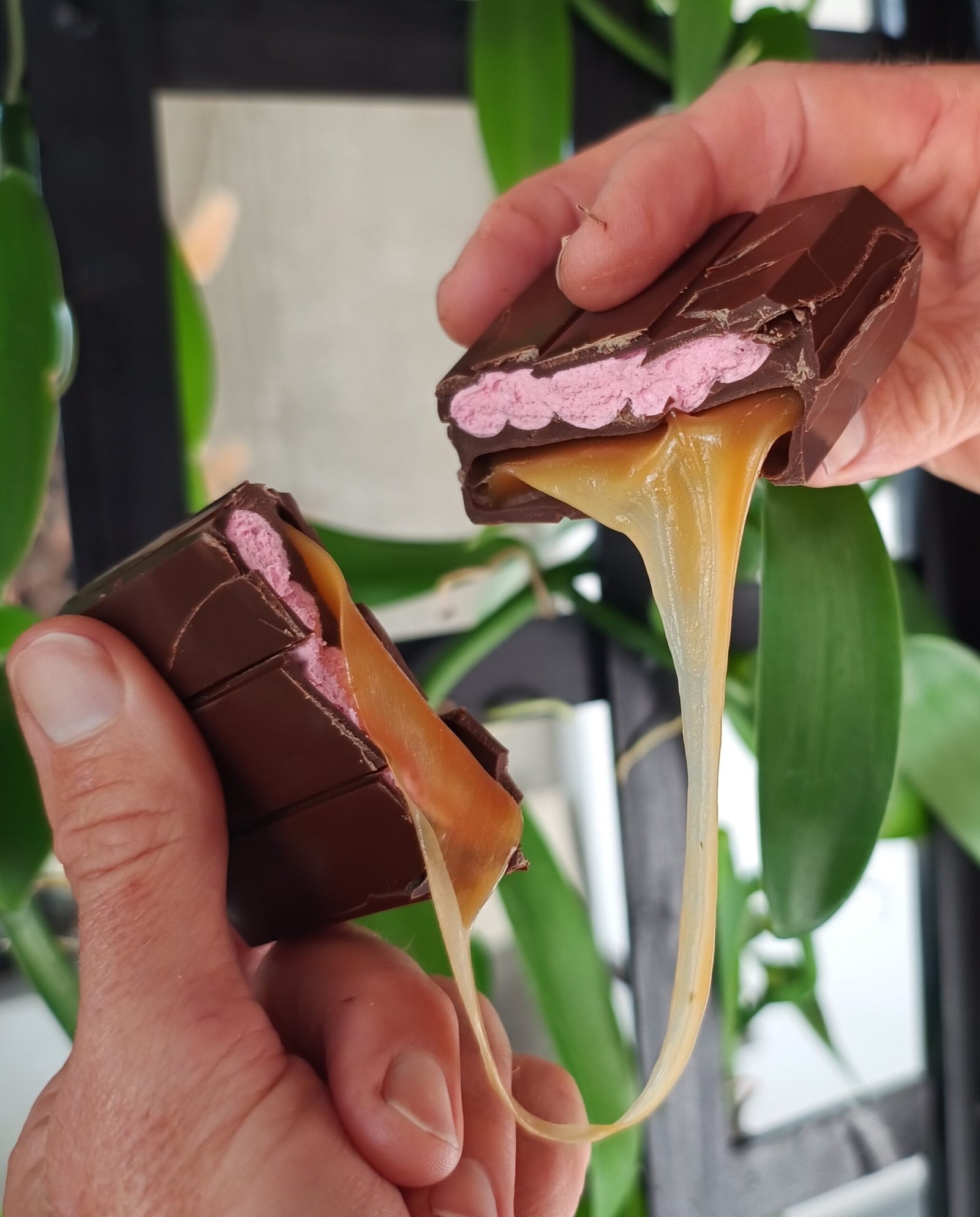 Double Stuffed Chocolate Bar – Byron Bay Cacao